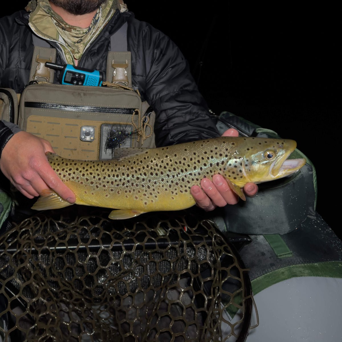 FULL MOON JUNE 2025 (Stillwater Night Fishing Photo Gallery ...